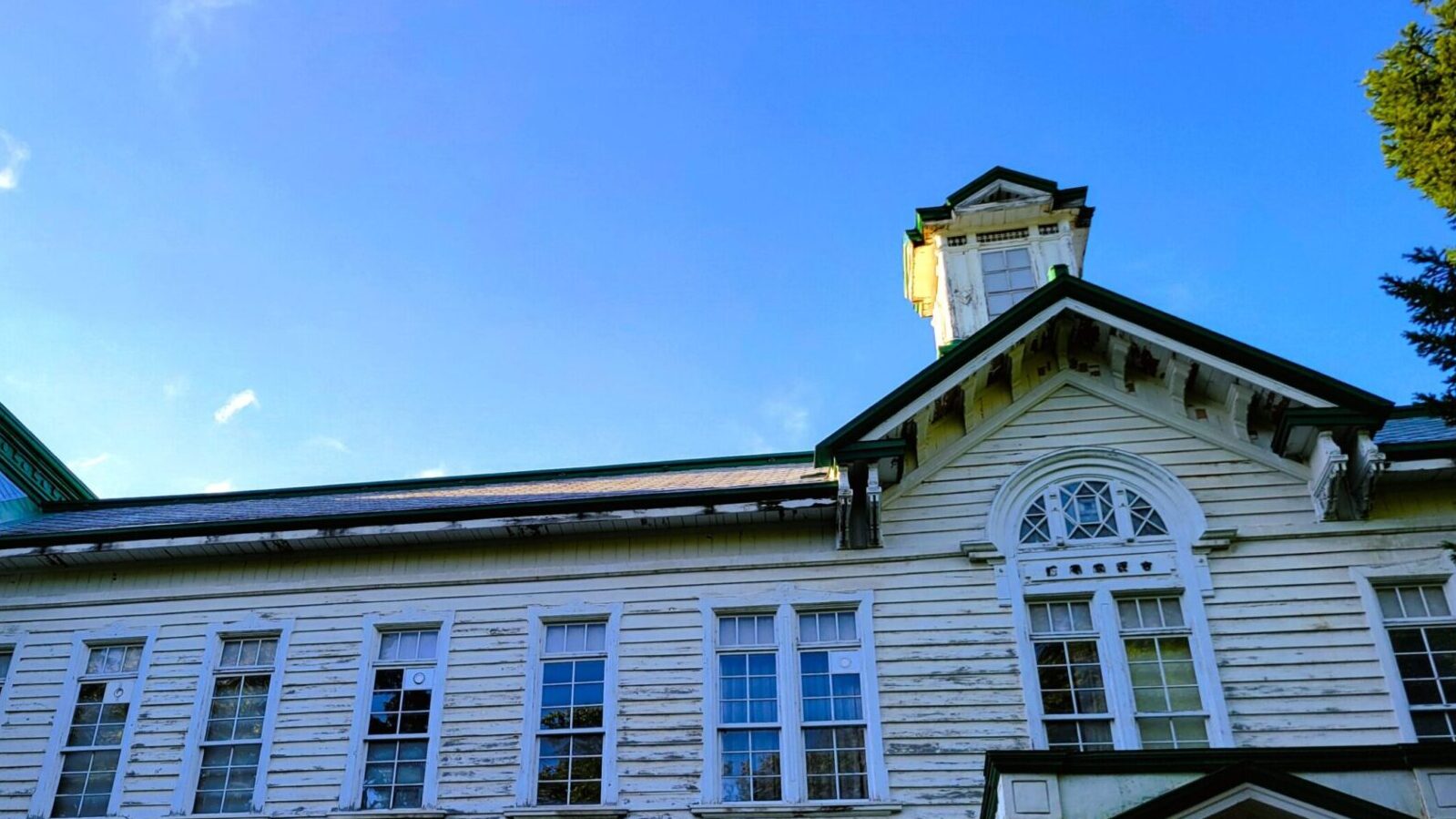 第43回日本小児歯科学会北日本地方会大会 | 第43回日本小児歯科学会北日本地方会大会のホームページです。